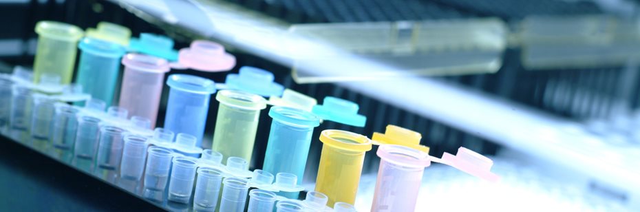 in Life Sciences Foundation Year at Oxford Brookes University