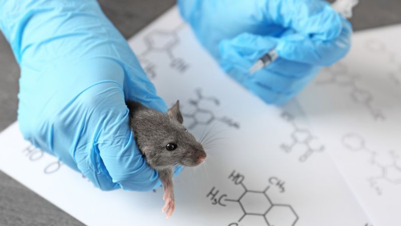 Process for research involving animals - Oxford Brookes University