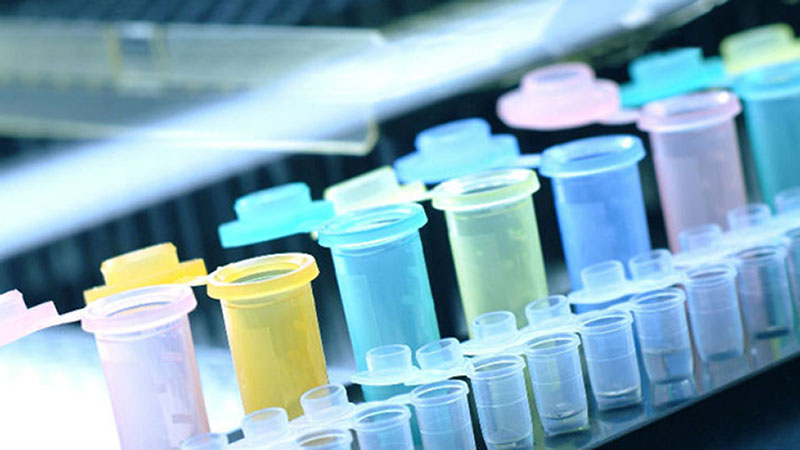 Biomedicine at Oxford Brookes University